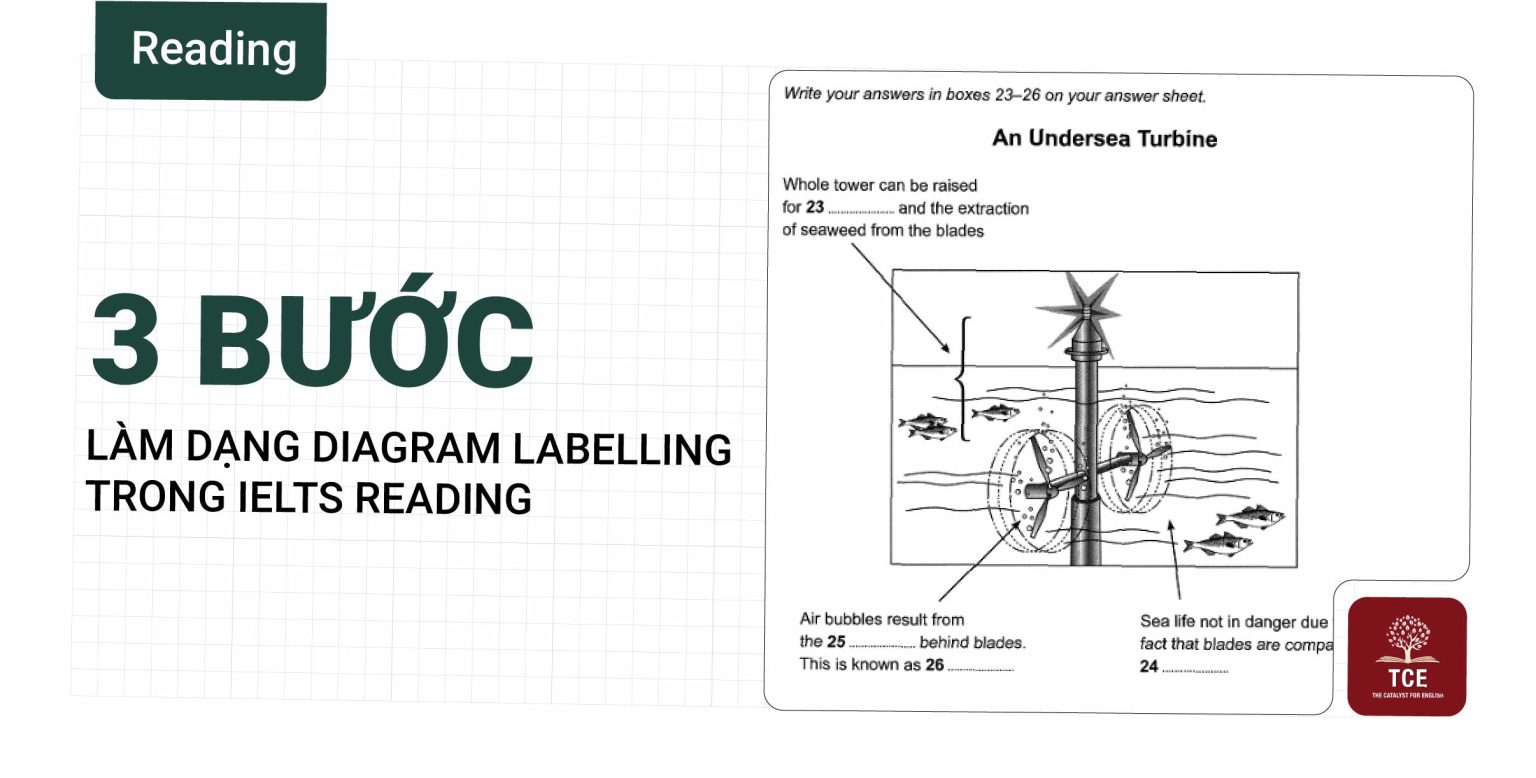 Thực chiến 3 bước làm bài Diagram Labelling trong IELTS Reading | The ...