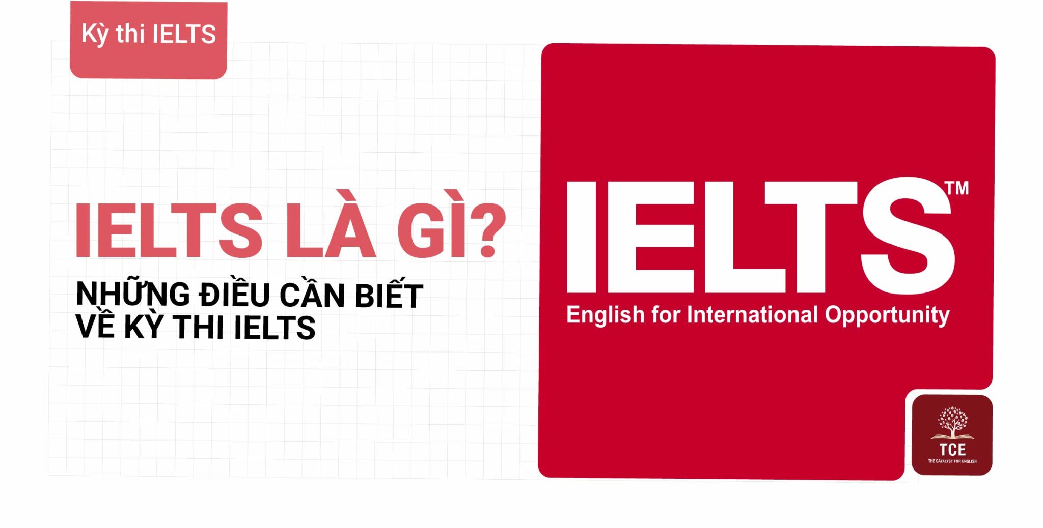 IELTS là gì? Những thông tin cần biết về kỳ thi IELTS | The Catalyst ...
