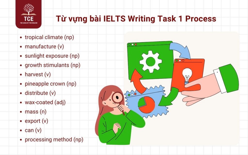 Cách Viết Dạng Ielts Writing Task 1 Process Và Bài Mẫu The Catalyst