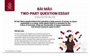 Tổng hợp template Writing Task 2 cho từng dạng bài | The Catalyst for ...