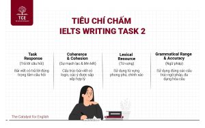 Tìm hiểu bài thi IELTS Writing Task 2 chi tiết từ A-Z | The Catalyst ...