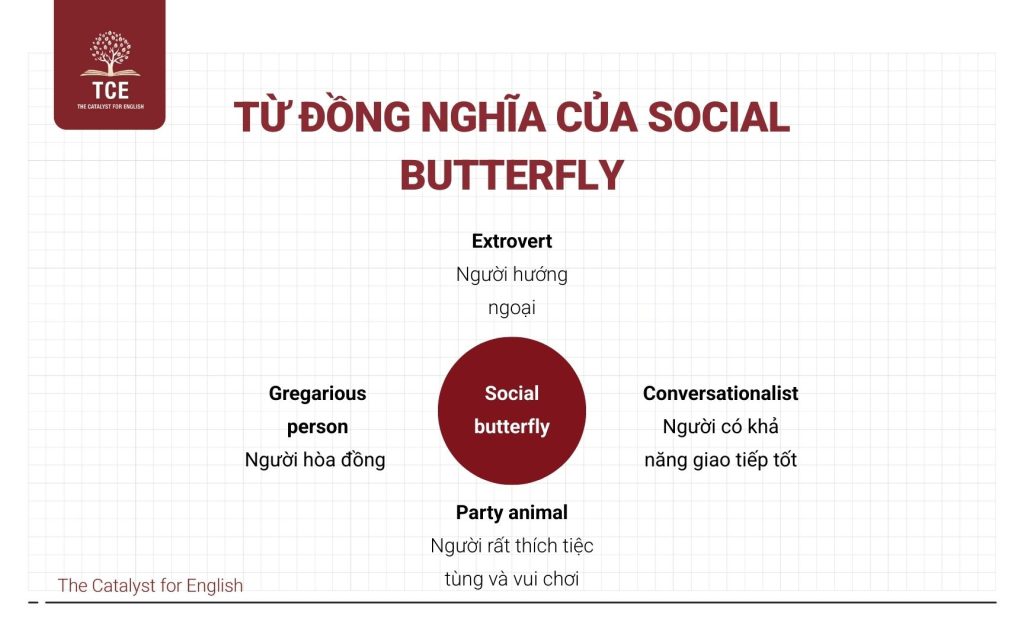 Social butterfly: Khái niệm, nguồn gốc và cách sử dụng | The Catalyst ...