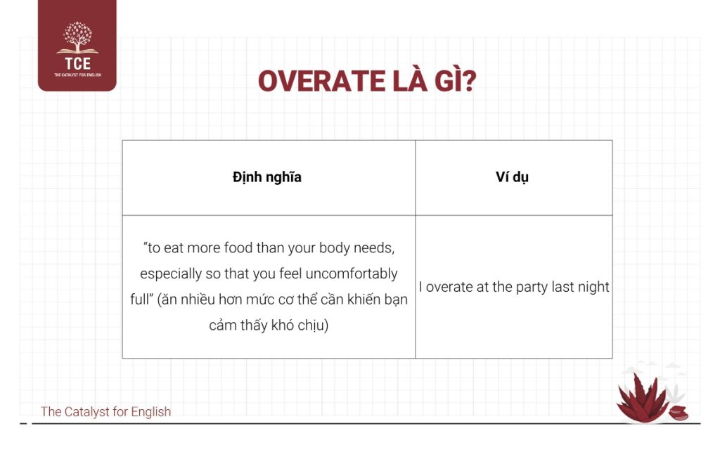 Overate là gì? Ngữ pháp và mẹo học từ vựng nhớ nhanh | The Catalyst for ...